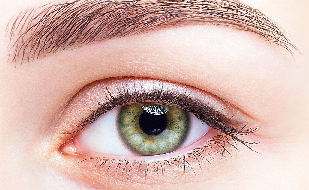 Grüne Augen: Entstehung und Bedeutung | Brille24 DE