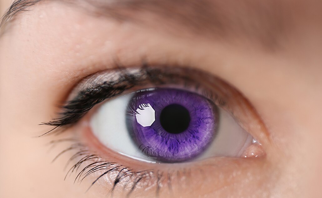 Lila Augen: eine sehr seltene Augenfarbe | Brille24 DE